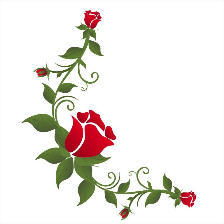 digital shadi card design - TR BAHADURPUR