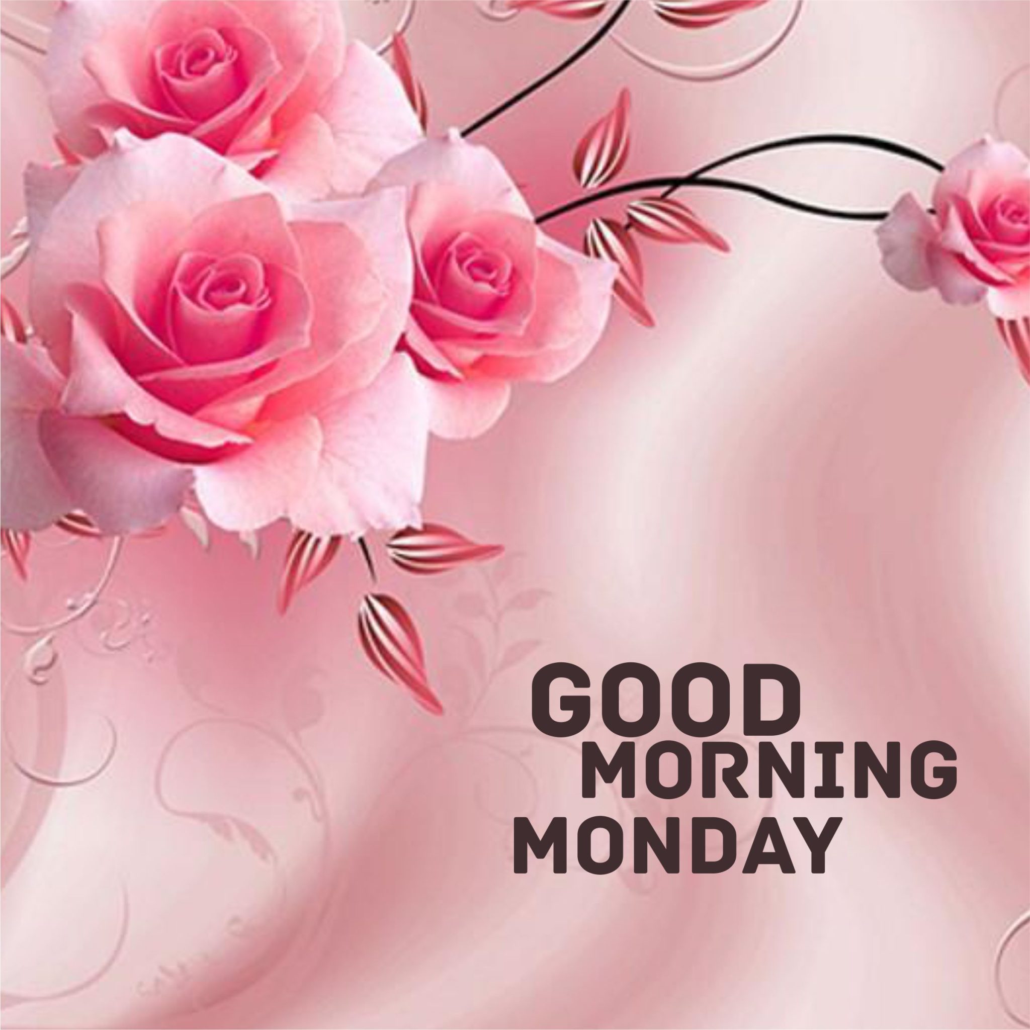 Good Morning Monday Images