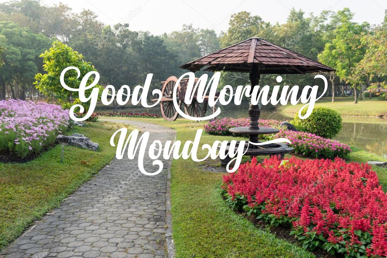 Good Morning Monday Images