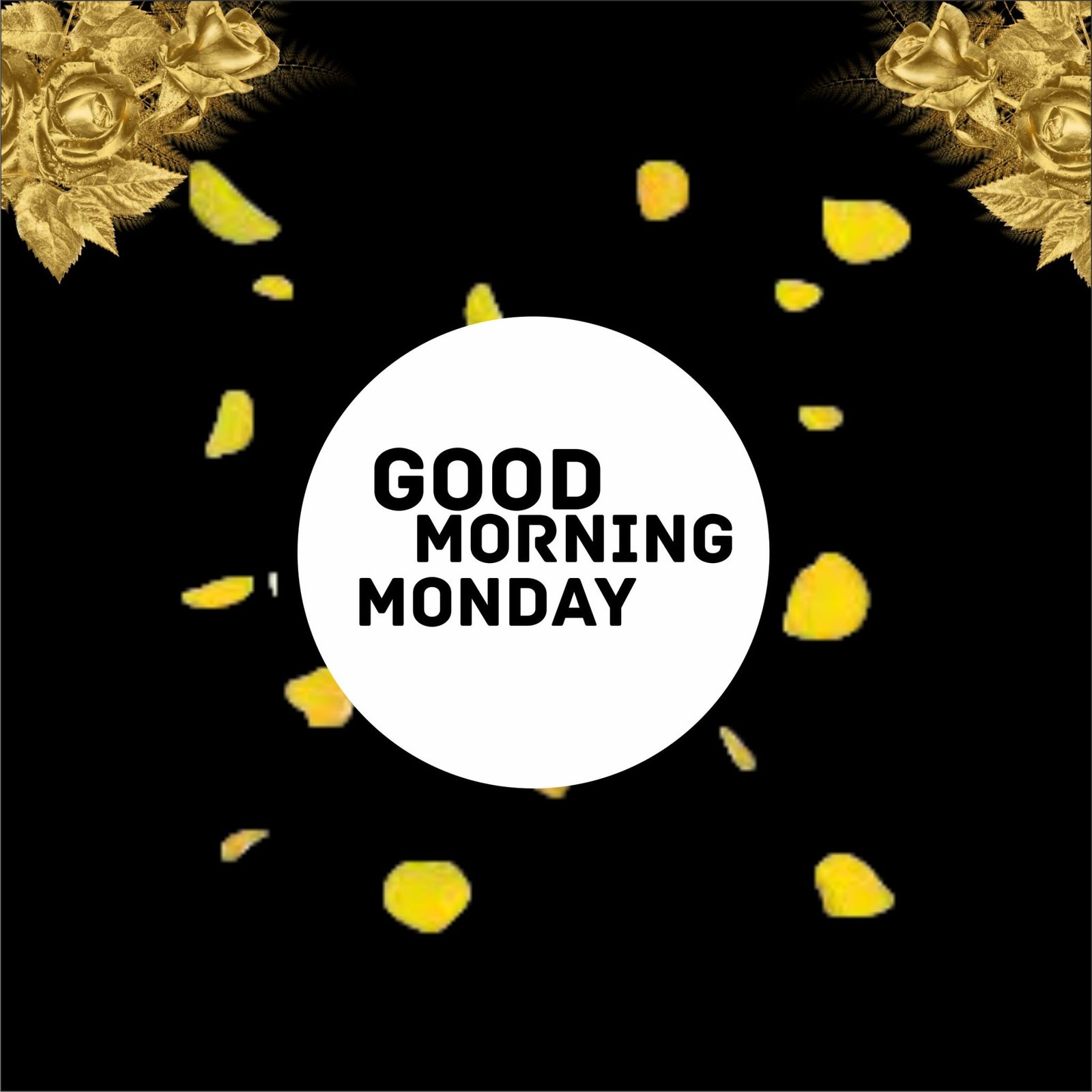 Good Morning Monday Images