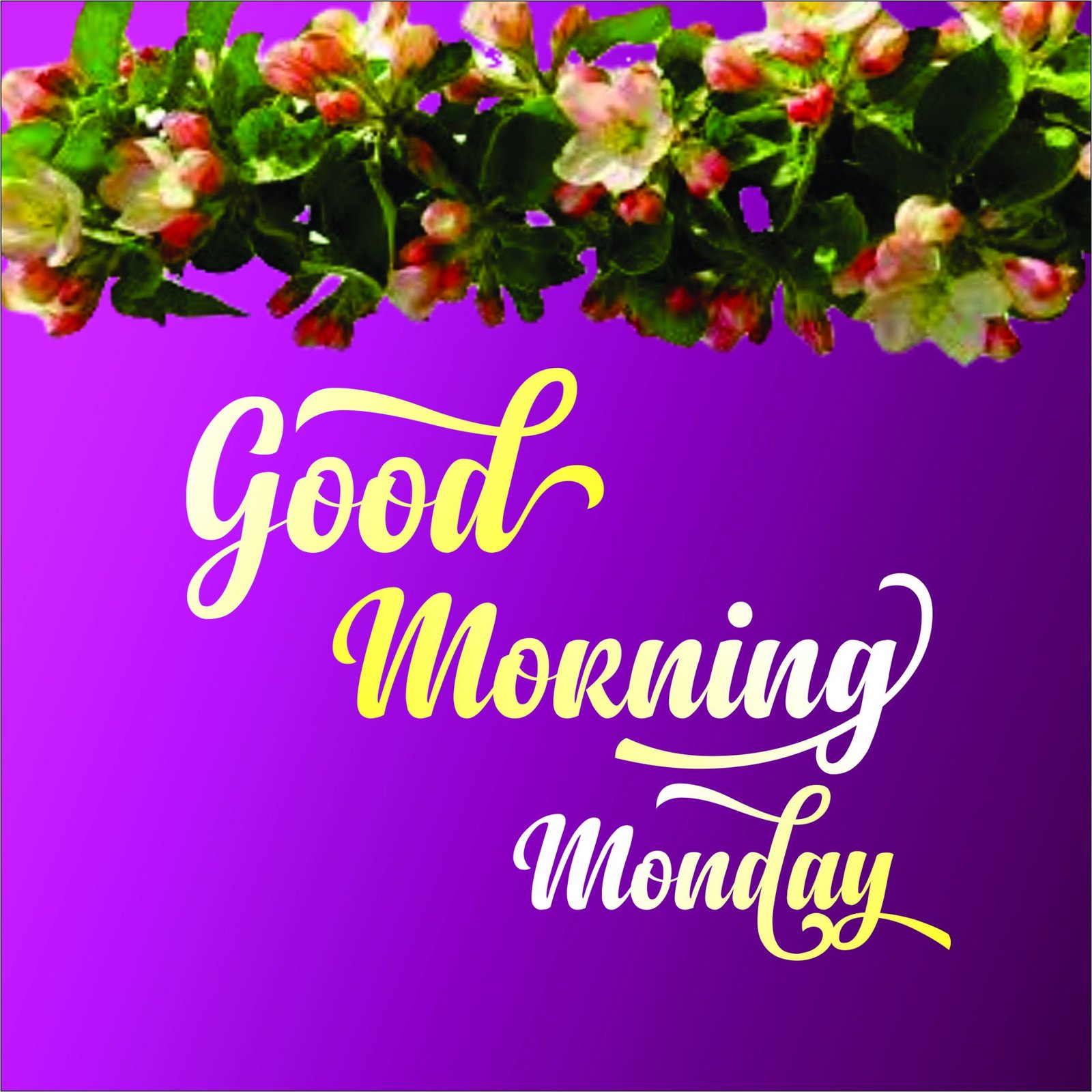 Good Morning Monday Images