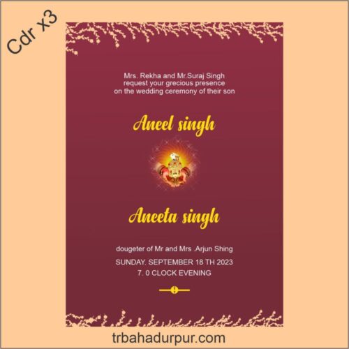 best hindu shadi card